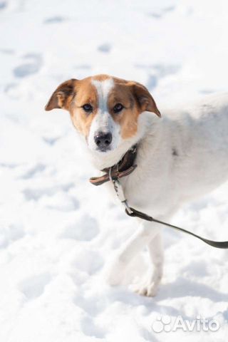 Стефани- красивая и ласковая девочка