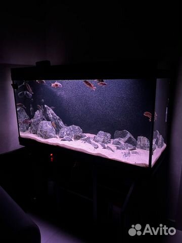 Аквариум с тумбой 300 литров