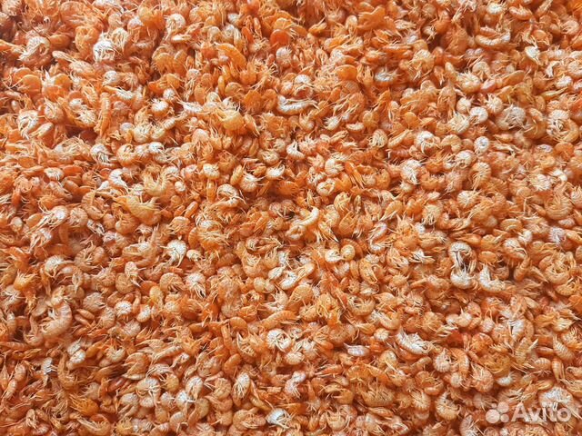 Корм для рыбок аквариумных Гаммарус