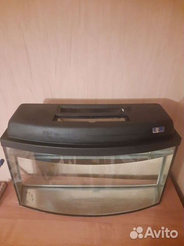 Аквариум Авгурь 45л с крышкой + 2 тритона и рыбка