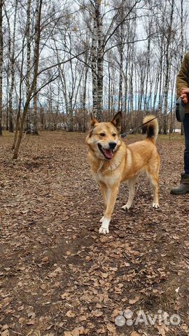 Красавец Ванечка