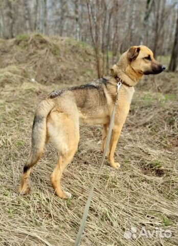 Устал жить в страданиях