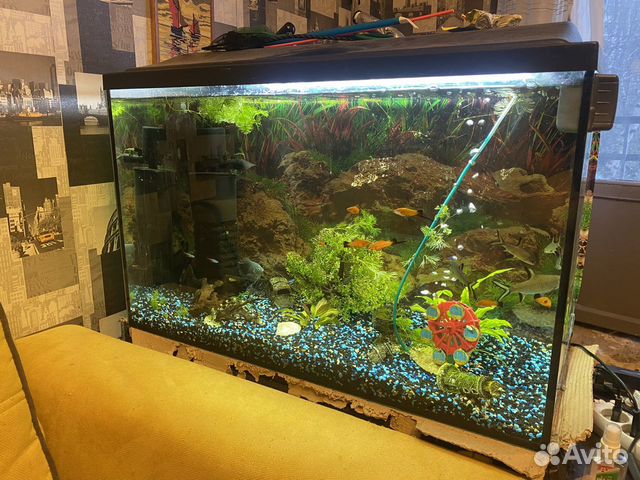 Акариум 150 литров с тумбой