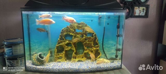 Аквариум