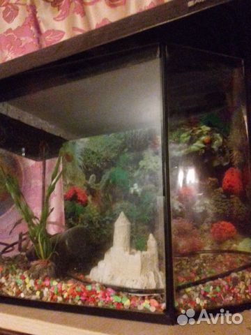 Аквариум