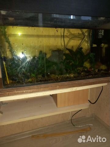 Аквариум