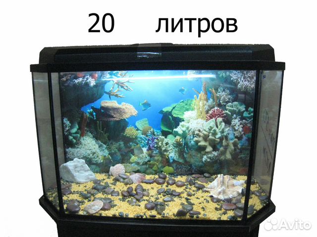 Аквариум 20 литров панорама
