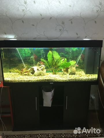 Аквариум Juwel