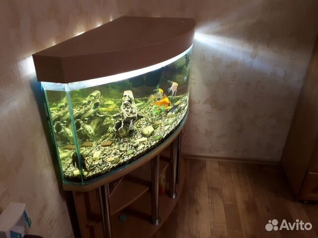 Панорамный аквариум 200 л