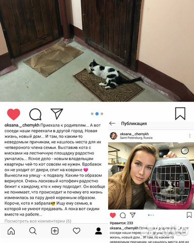 Домашнего Котика выкинули на улицу