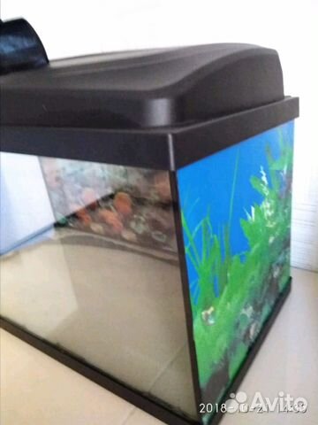 Аквариум