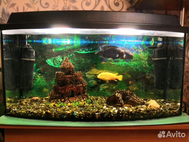 Аквариум 120 л