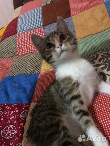 Ириска в дар