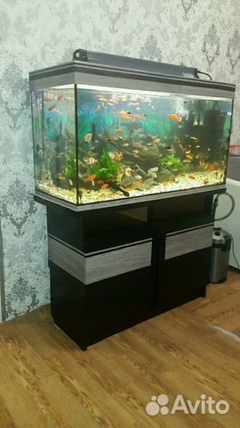 Аквариум200л