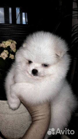 Нежное облачко