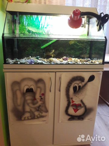 Аквариум с двумя красноухими черепахами