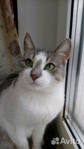 Сделай доброе дело на Рождество