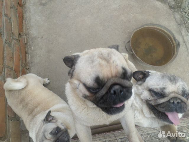 Приглашаю подругу для встреч