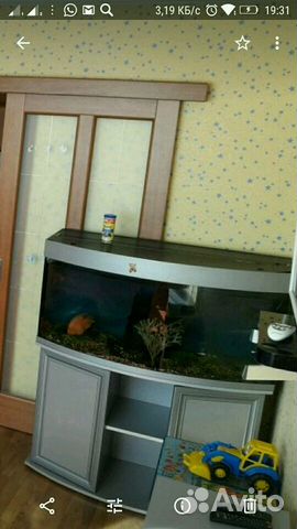 Аквариум