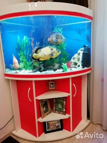 Аквариум с рыбками и всем оборудованием