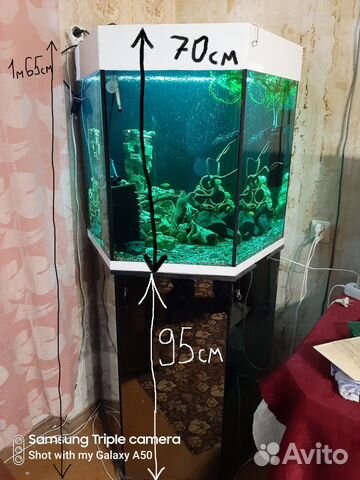 Продам аквариум