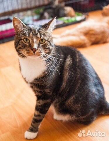 Забери меня домой