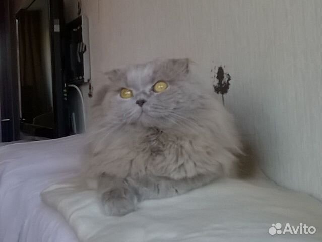 Вязка. Клубный фолд