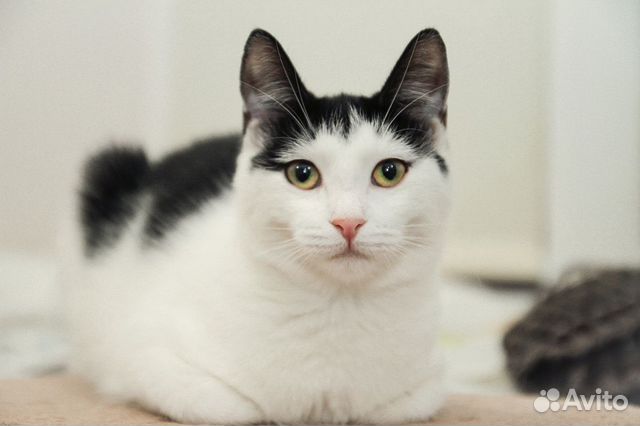 Облачко 8 мес