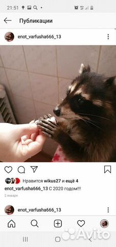 Ищем Девочку