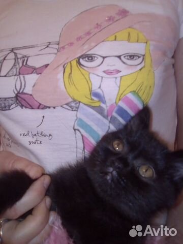 Котёнок Пуговица