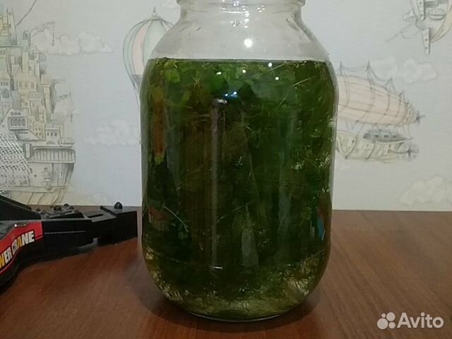 Прополка аквариумных растений