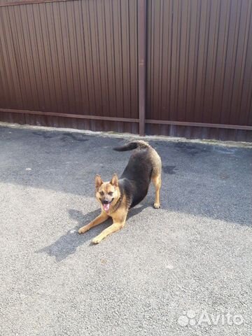 В хорошие руки