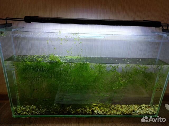 Аквариум 30 л