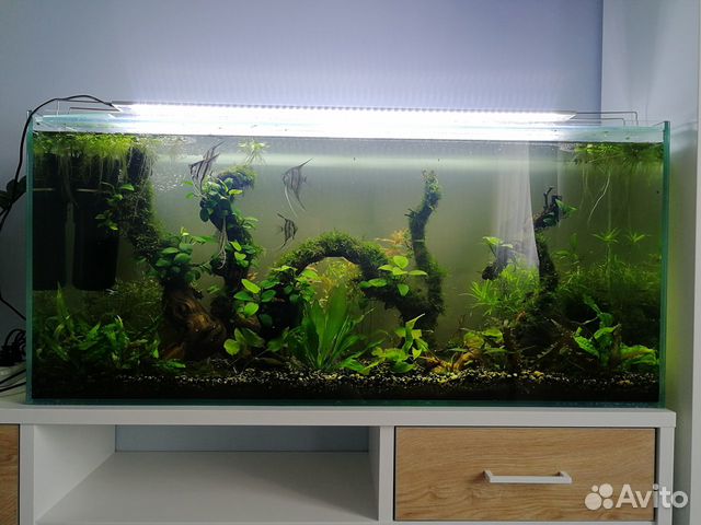 Аквариум, фильтр и Led светильник