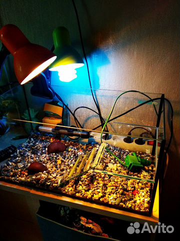 Аквариум для черепах