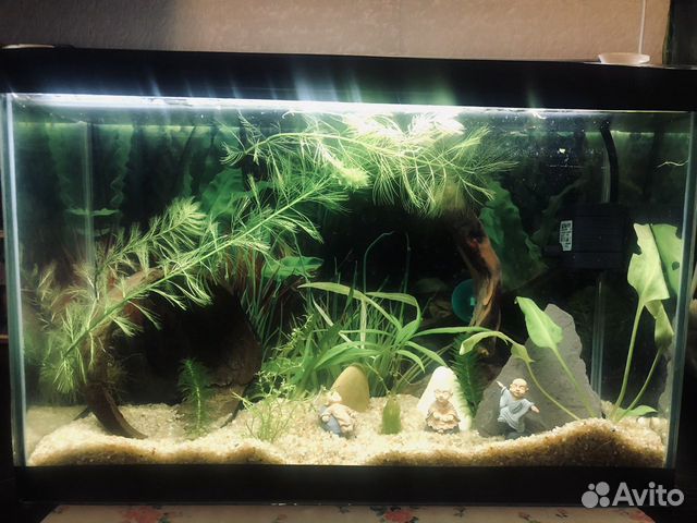 Аквариум мини