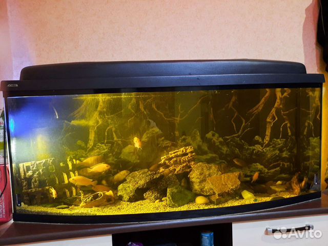 Аквариум 210 литров панорамный