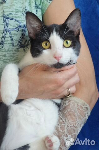 Живет одна в квартире