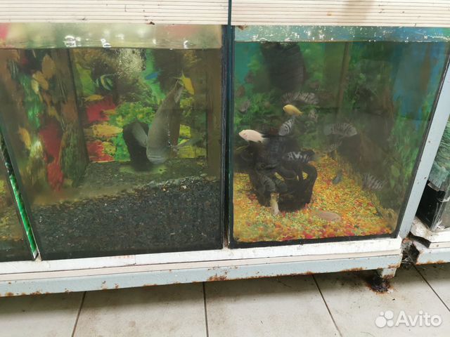 Аквариум 105л
