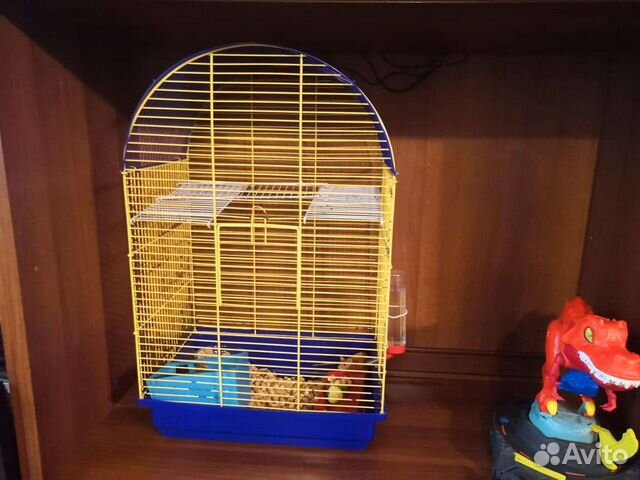 Две сатиновые мышки вместе с клеткой