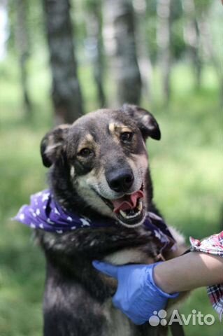 Спаси его пожалуйста