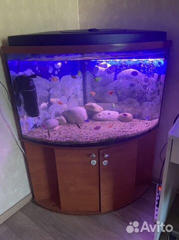 Продается аквариум