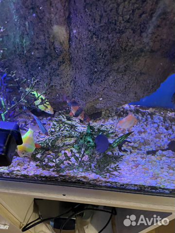 Аквариум с рыбками и тумбой