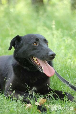 Каждый день Герды -борьба за жизнь