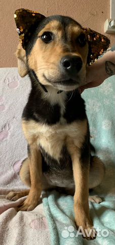 Добрая малышка в дар