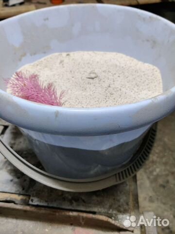 Коралловая крошка для аквариума