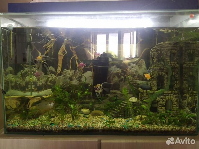 Аквариум