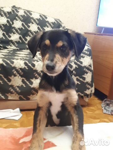 Хороший мальчик