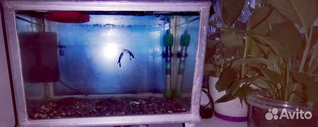 Аквариум 40 литров