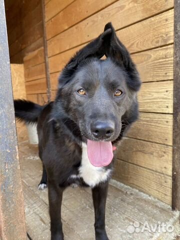 Дафна мечтает о семье